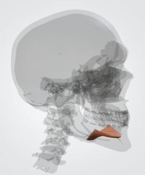 Embouchure – Cladid-Wiki