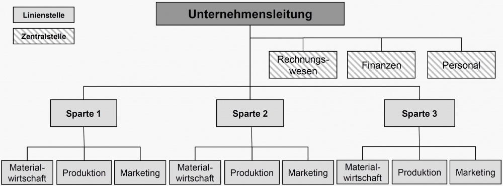 Spartenorganisation – Controlling-Wiki